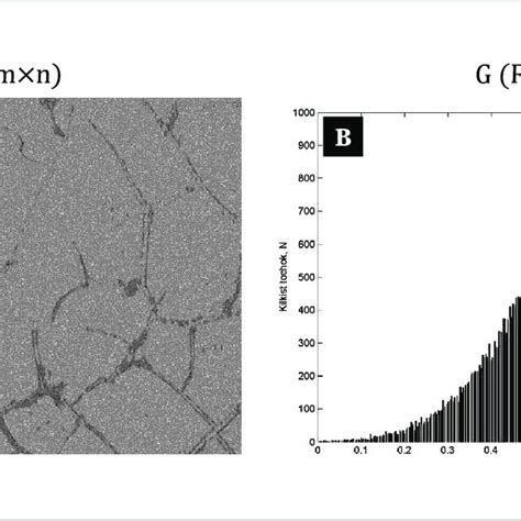 Polarization Visualized And Autofluorescence Laser Microscopic Download Scientific Diagram