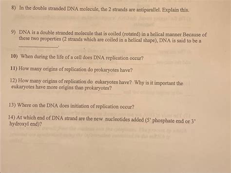 Solved In The Double Stranded DNA Molecule The Strands Chegg