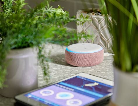 How To Set Up The Amazon Echo Dot Artofit