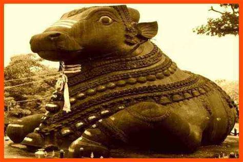 सपने में नंदी बैल देखना Sapne Me Nandi Bail Dekhna सपने में बैल देखना