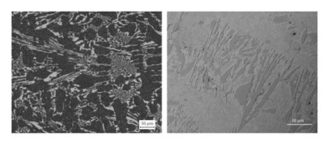 Microstructure Of High Chromium Cast Iron Download Scientific Diagram