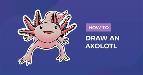 Axolotl Drawing With Color