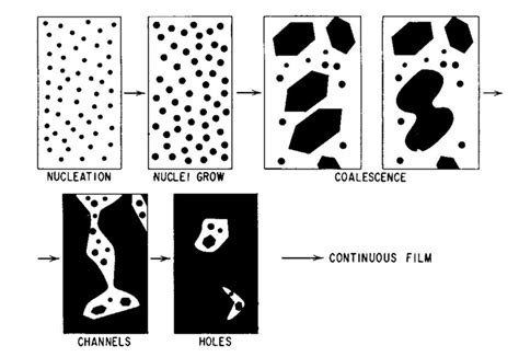 利用直流磁控溅射镀膜仪改进hr Sem用金属薄膜 学习与分享 徕卡显微系统