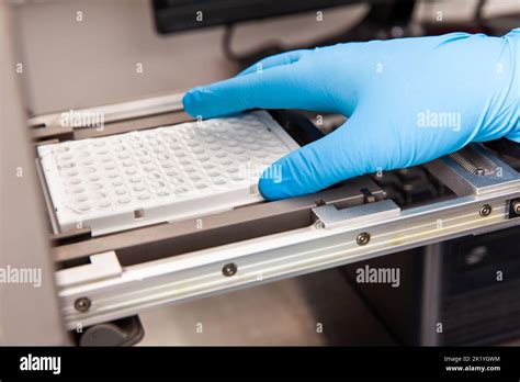 Scientist Loading Samples To A Rt Pcr Thermal Cycler At The Laboratory Real Time Polymerase