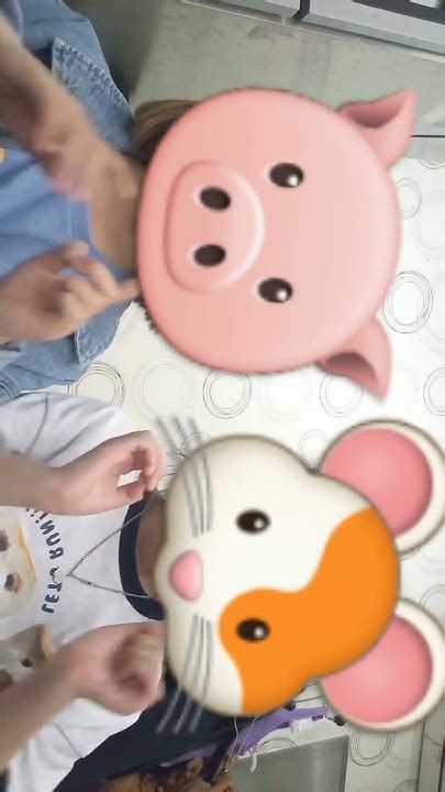 돼지 햄스터 통통 영상 Youtube
