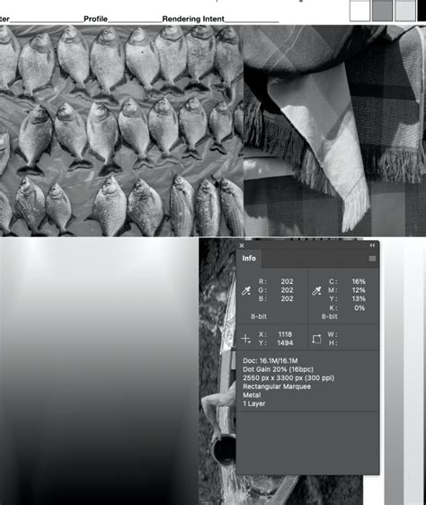 Its Gray Scale Mode But Cmy Values Comes Out Adobe Product