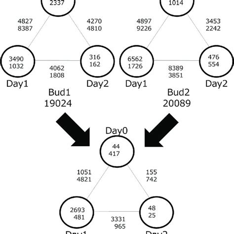 Identification Of Differentially Expressed Genes Degs Using