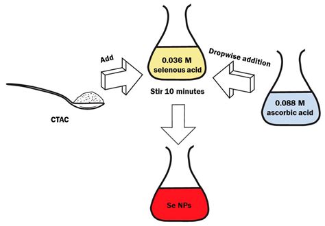 Synthesis Characterization And Potential Antimicrobial Activity Of Selenium Nanoparticles