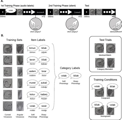 Experimental Design A The Three Blocks Of The Study Showing The Download Scientific Diagram