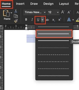 How To Double Underline In Word Online WordOnlineTips Com
