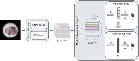 Feature Re Embedding Towards Foundation Model Level Performance In Computational Pathology Ai