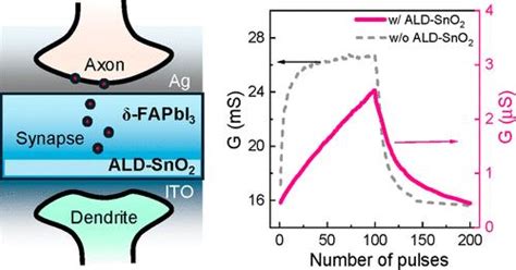 Fapbi Sno Nano Letters X Mol