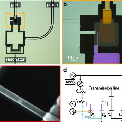 Quantum Coherence Of A Ge Si Nanowire Based Qubit A Coherent Rabi Download Scientific Diagram
