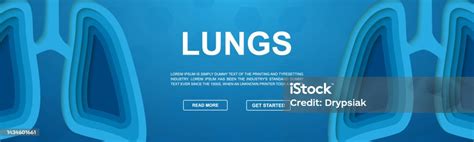 폐 종이 머리 승진 배너에 대한 기호를 잘라 수평 컷 아웃 종이 그림 장기 해부학 디자인 템플릿 일러스트 개념 3차원 형태에 대한 스톡 벡터 아트 및 기타 이미지 Istock