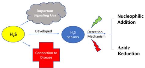 H2s Sensors Synthesis Optical Properties And Selected Biomedical Applications Under Visible