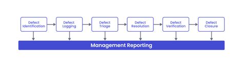 Defect Management Best Practices