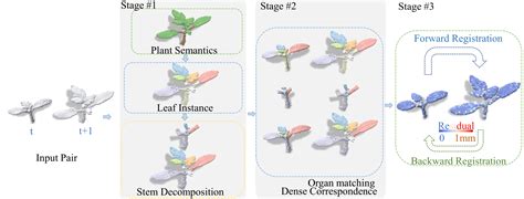 Plant4d Spatio Temporal Registration Of Plants Non Rigid 3 D Structures