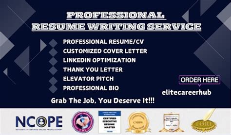 Provide Professional Resume Writing Services By Elitecareerhub Fiverr