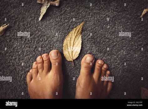Welcome Fall Background Closeup Concept Photo Of A Barefoot Women Feet