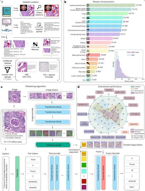 Roberto Gradini On Linkedin A Visual Language Foundation Model For