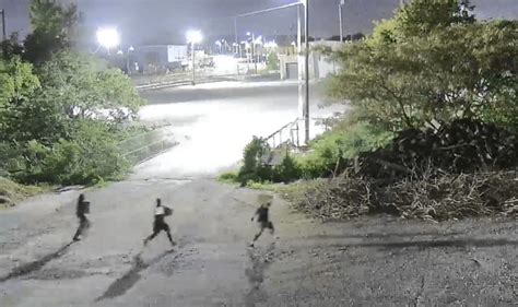 Cabco Communications Group On Linkedin Successfully Defend Railyards Liveview Technologies