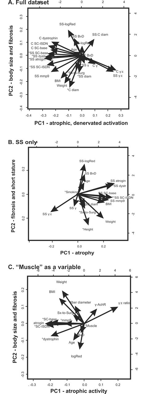 Principal Component Analysis Pca Biplots Biplots Show The