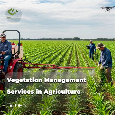 Vegetation Management Services In Agriculture
