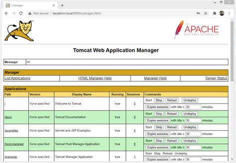 How To Install Tomcat 10 On Debian Tecadmin