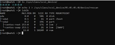 How To Extend Filesystem On Linux Root And Other Dade2