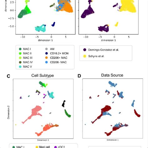 Comparison Of Macrophagemonocyte Subtypes In The Perinatal And Adult