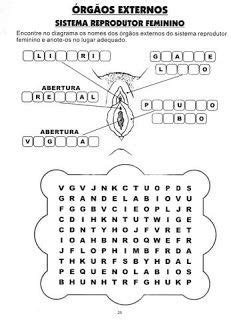 Atividades Sobre Sexualidade E Sa De