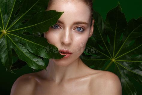 Beautiful Fresh Girl With Perfect Skin Natural Make Up And Green Leaves Beauty Face Close Up