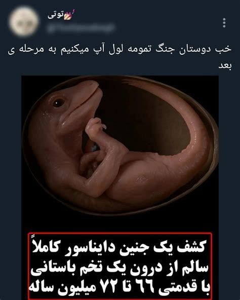 ‎خانم توئیت‌‌ توییت فان مود میم خنده چالش‎ ‎😂پوتین یا