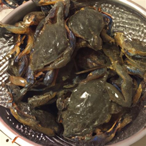 How To Eat Soft Shell Crabs A Comprehensive Guide The Enlightened Mindset