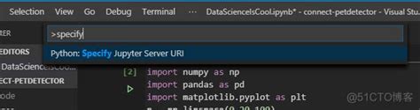 Vscode Jupyter Python 代码跳转 Vscode运行jupytermob64ca13f70606的技术博客51cto博客