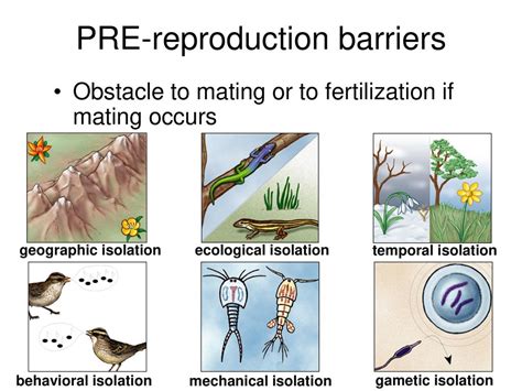 Warm Up—using Academic Terms Ppt Download Warm Up—using Academic Terms Ppt Download