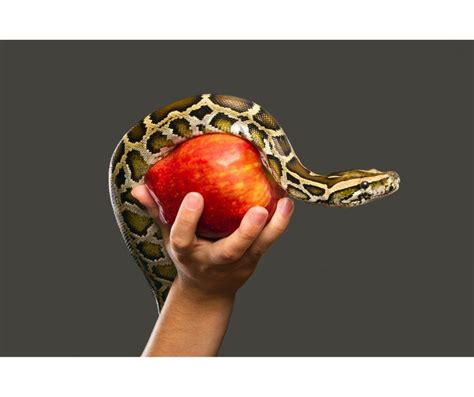 Turning Away From Sexual Immorality Welcome To The Narrow Road