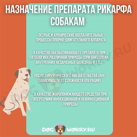 Рикарфа для собак: инструкция по применению, цена, отзывы