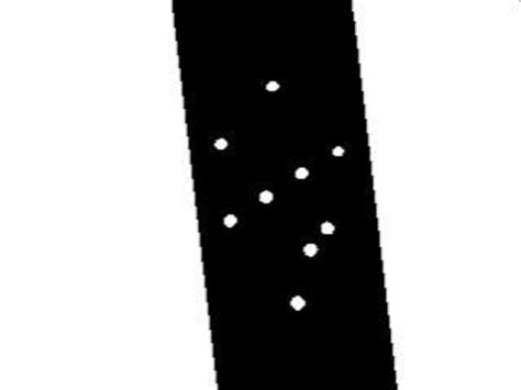 Opencv Image Perspective Transform In C Stack Overflow