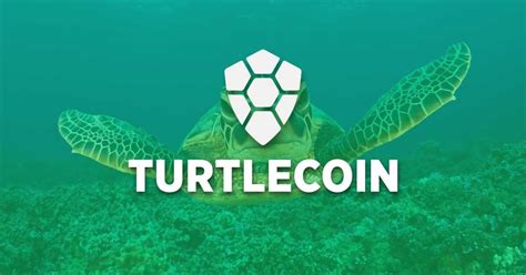 Bitcoin Core Wallet Rpc Console Commands Bitcoin Qt Client Api Call Lists