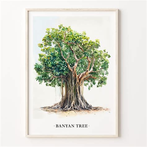 Banyan Tree Ka Diagram