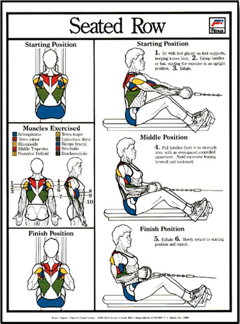 Seated Row Exercise Machine Poster Clinical Charts And Supplies