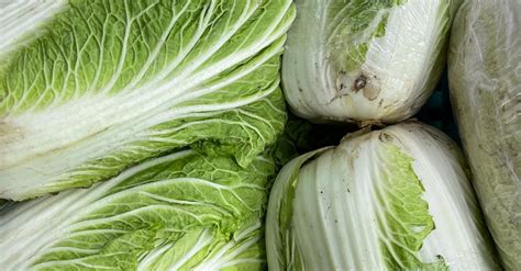 건강한 삶 건강한 식생활 나파 배추 날 음식 녹색 농업 브라 시카 라파 샐러드 재료 섬유질이 풍부한 수직 쐈어 시장 디스플레이 식물의 신선한 신선한