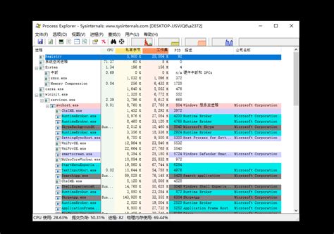 Process Explorer系统进程管理器 跃动资源屋
