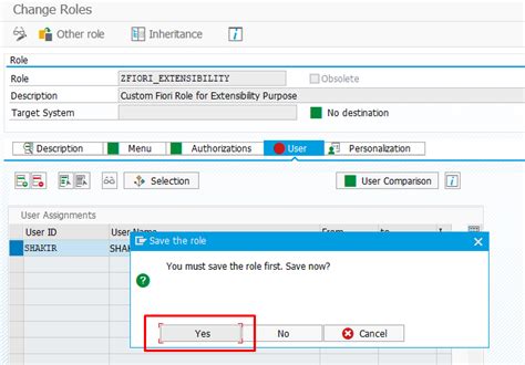 using extensibility options in sap s 4hana after system conversion