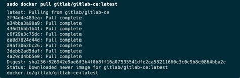 How To Install Gitlab Ce With Docker On Ubuntu 2204 Virtono Community