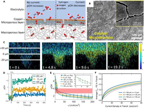 Seeing Is Believing Imaging The Effect Of Catalyst Microstructure In Electrochemical Co2