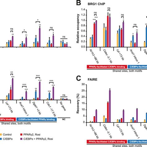 Ppar And C Ebp Are Simultaneously Recruited To Shared Ppar C Ebp Sites Download Scientific