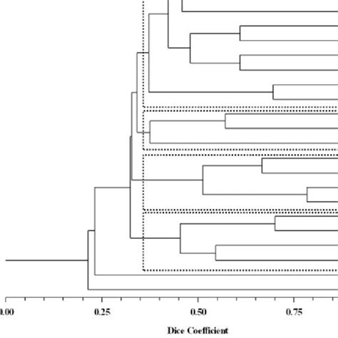 Dendrogram Of Genetic Similarity Based On Dice Coefficient Among