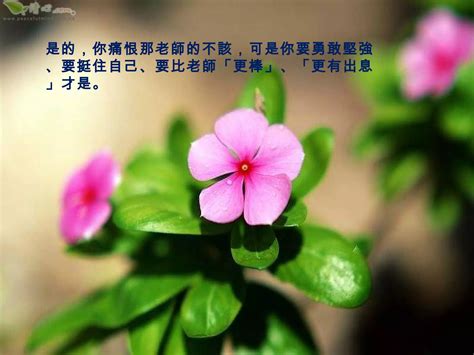 不要拿別人的錯誤來懲罰自己 Ppt